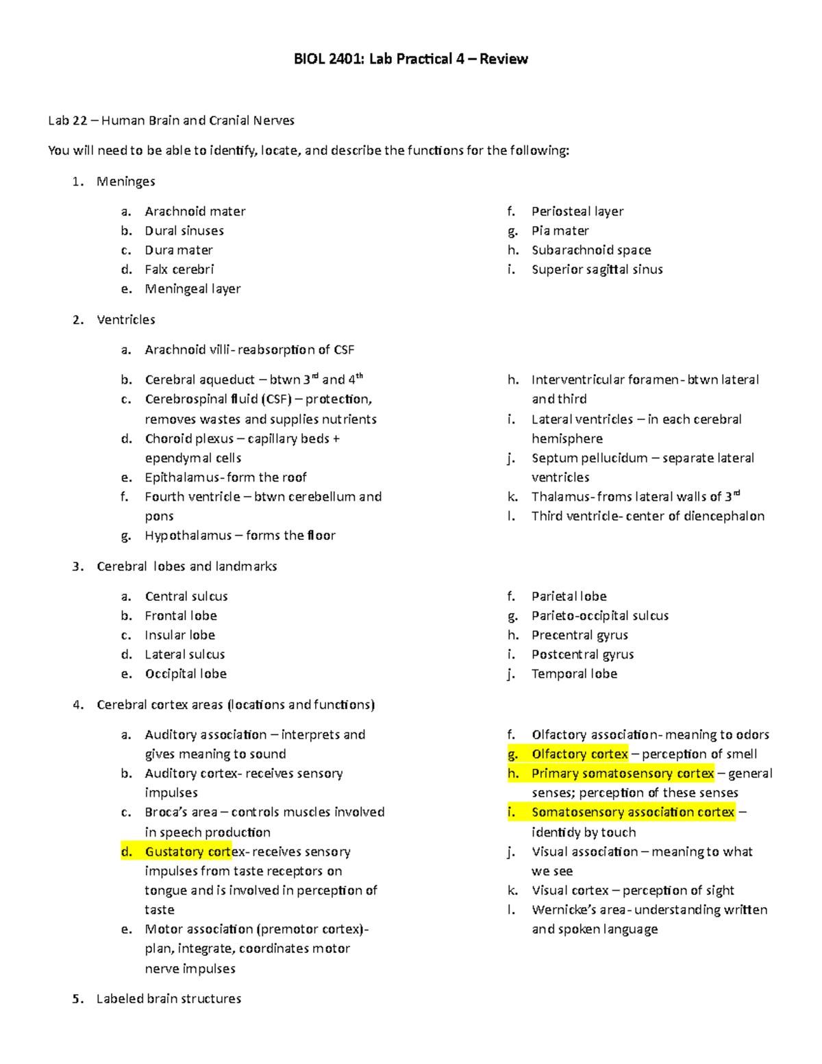 BIOL 2401 - Lab practical 4 - review S20 - BIOL 2401: Lab Pracical 4 ...