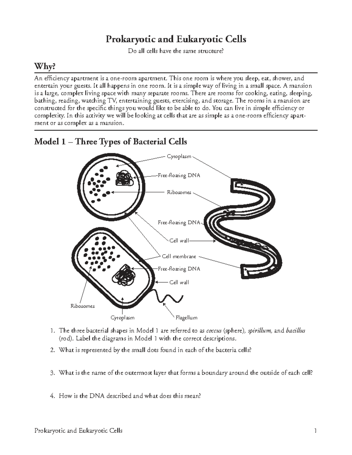 Prokaryotic and Eukaryotic Cells - Structure and Function Analysis - Studocu