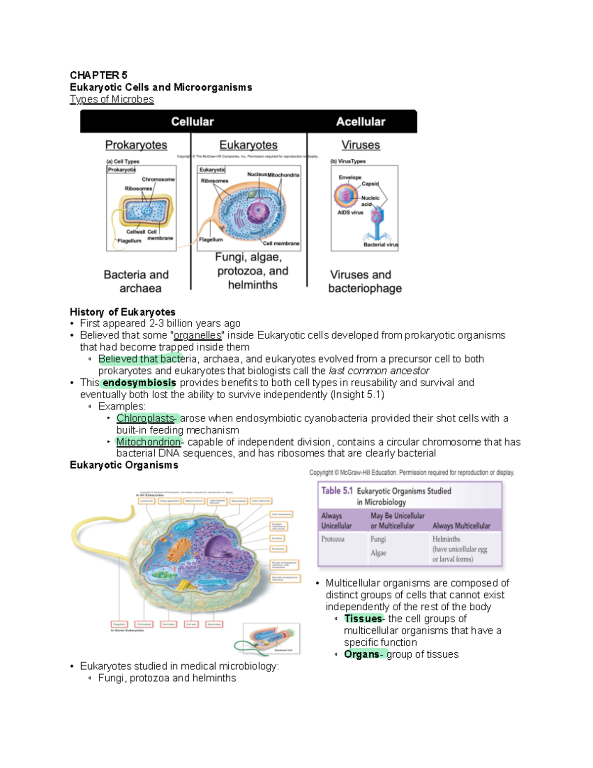 Chapter 5 Notes - CHAPTER 5 Eukaryotic Cells and Microorganisms Types ...