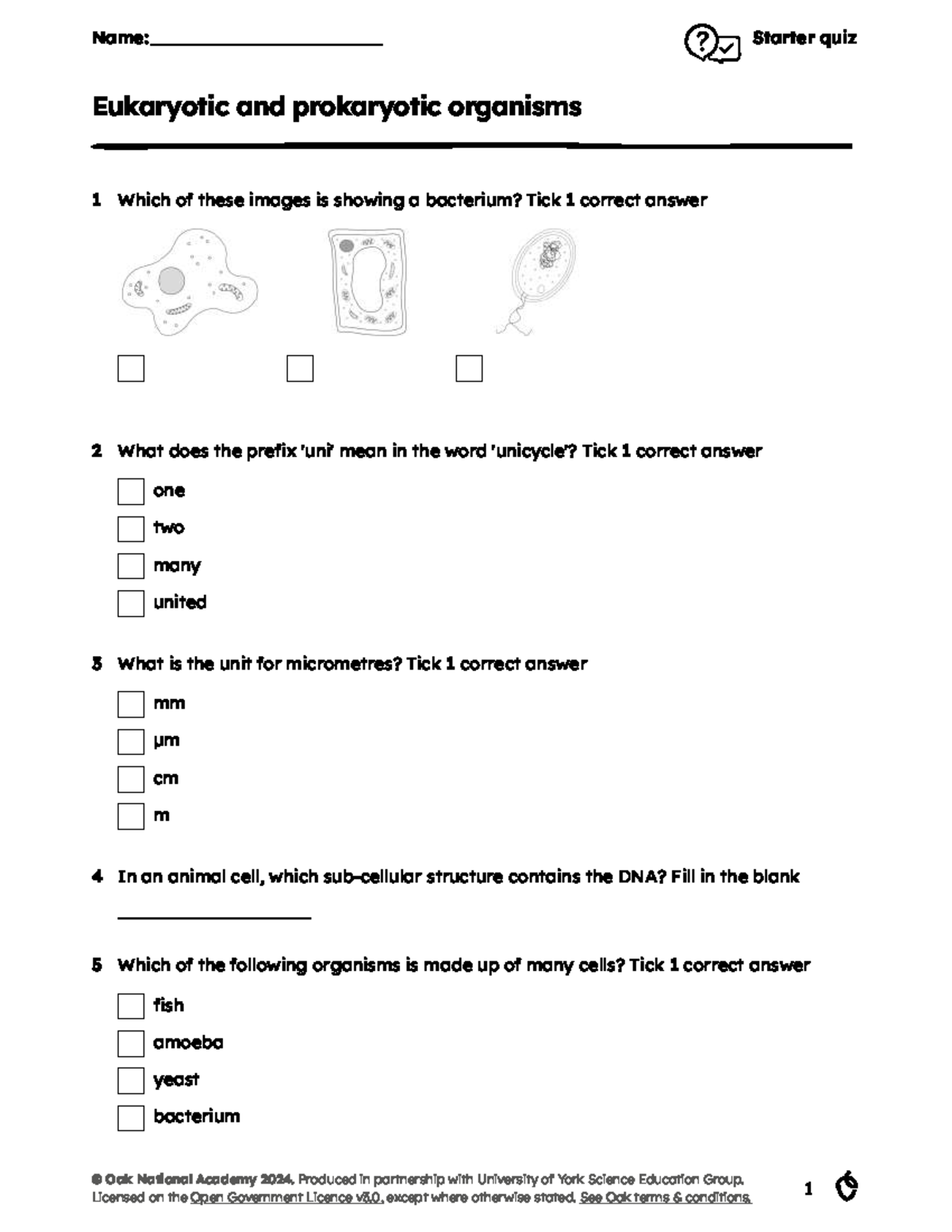 Starter Quiz: Eukaryotic vs Prokaryotic Organisms (2024) - Studocu