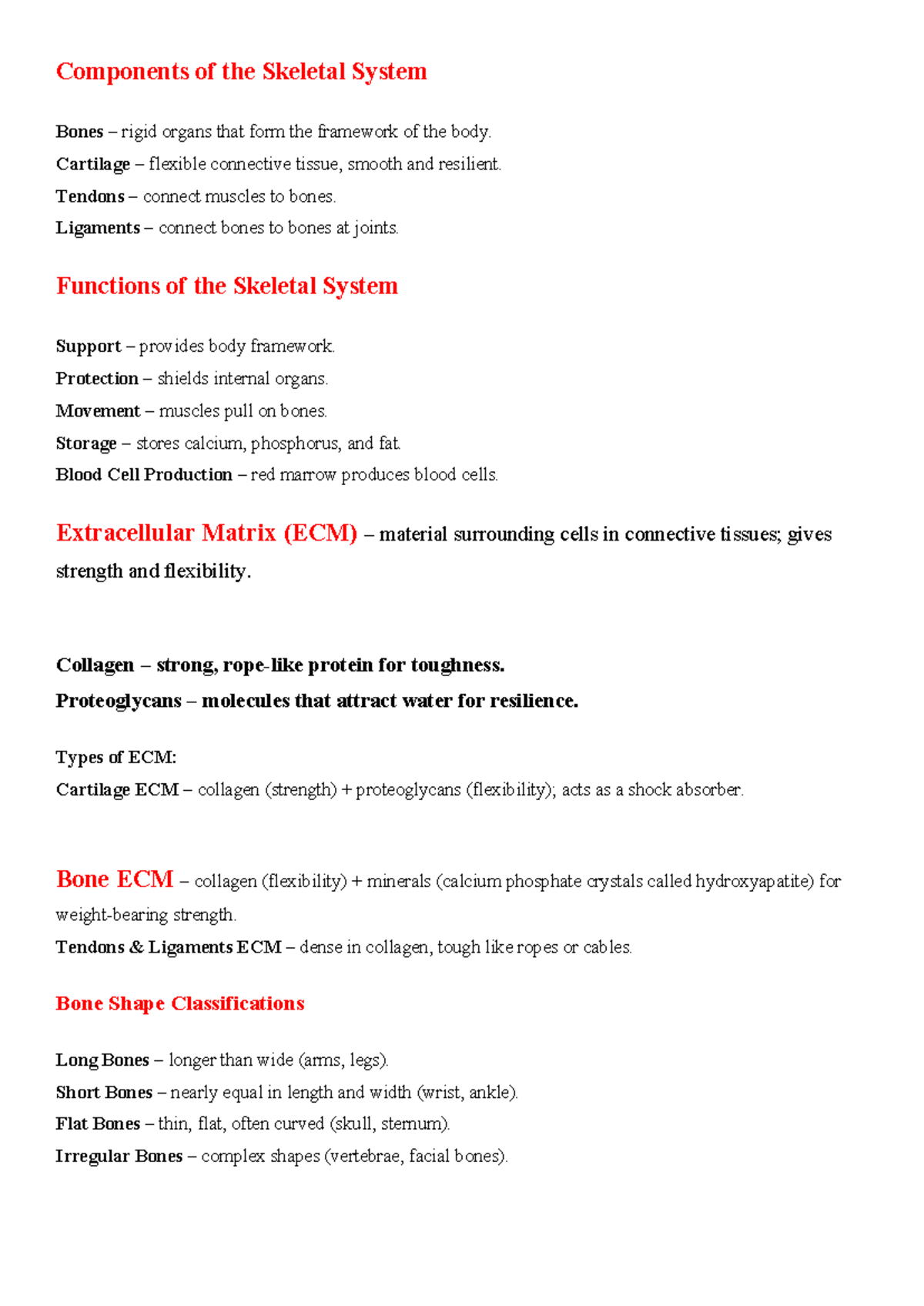 Skeletal System Overview: Structure, Function, and Classification - Studocu