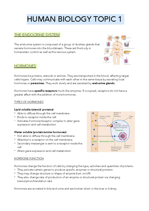 ATAR Human Bio - Grade: 12 - Western Australian Certificate of ...