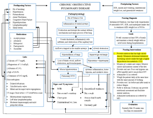 Iron deficiency anemia concept map - Heavy menstruation pregnancy Vegan ...