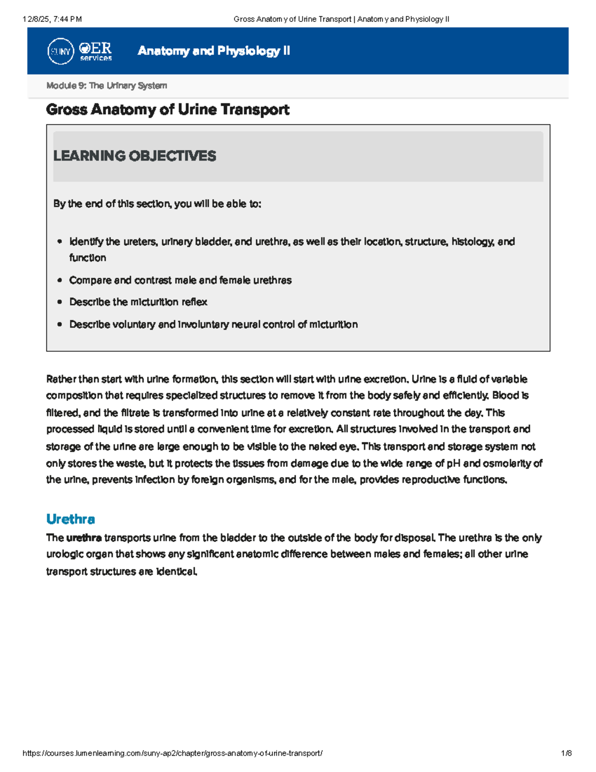 Gross Anatomy of Urine Transport: Anatomy and Physiology II Module 9 ...