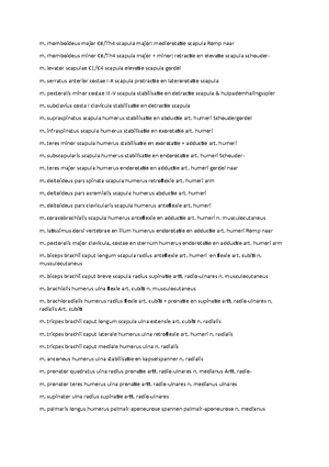 [Solved] welke 3 openingen bevinden zich in het middenrif - anatomie ...