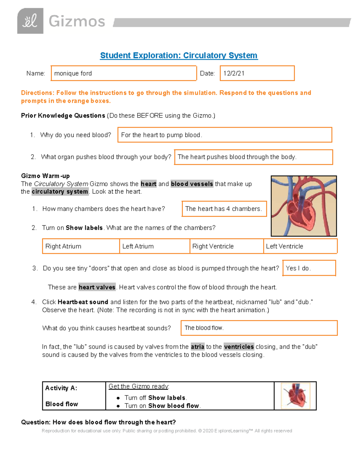 Monique Ford - Circulatory System Gizmos - Student Exploration ...