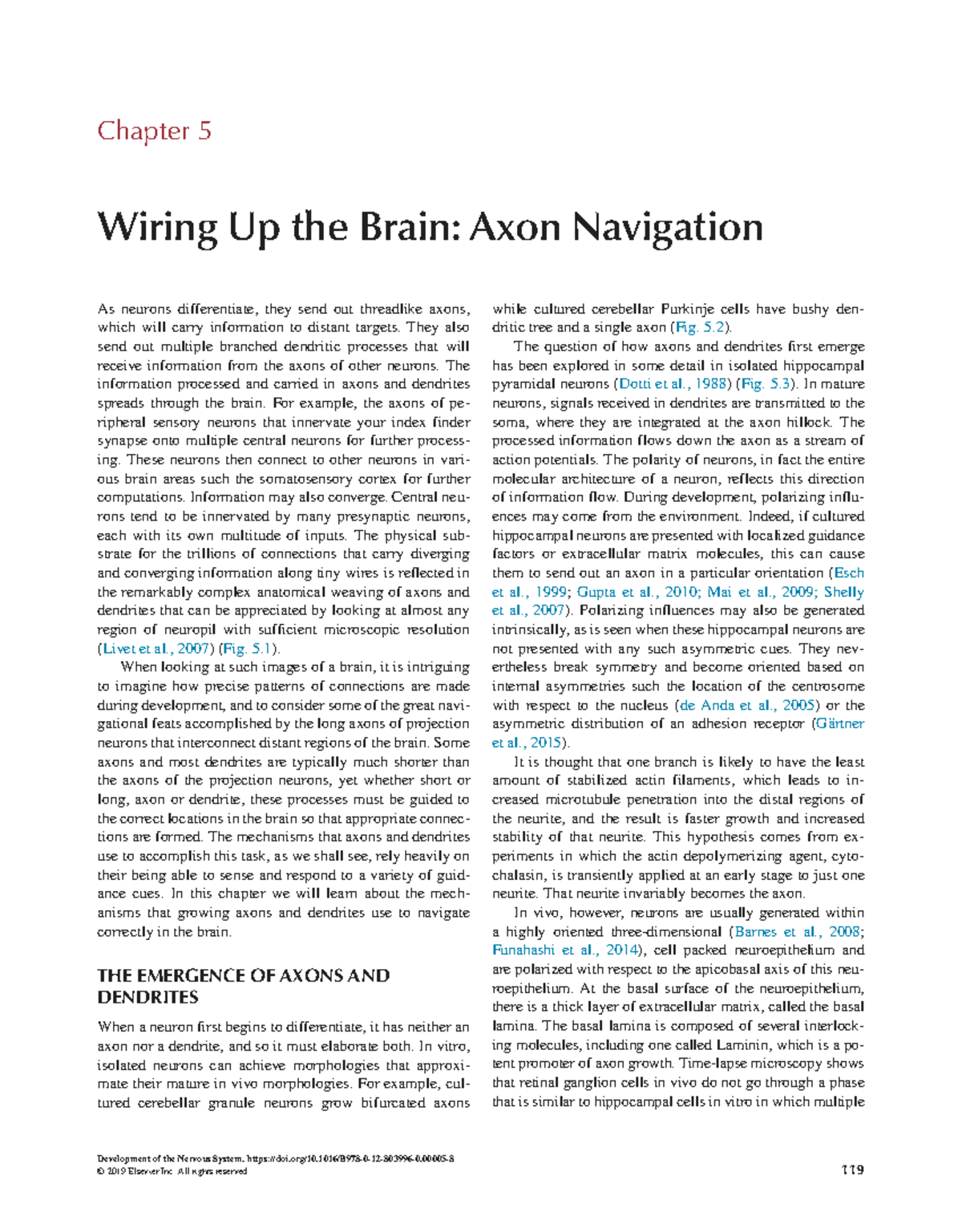 Chapter 5: Wiring Up the Brain - Axon Navigation Mechanisms - Studocu