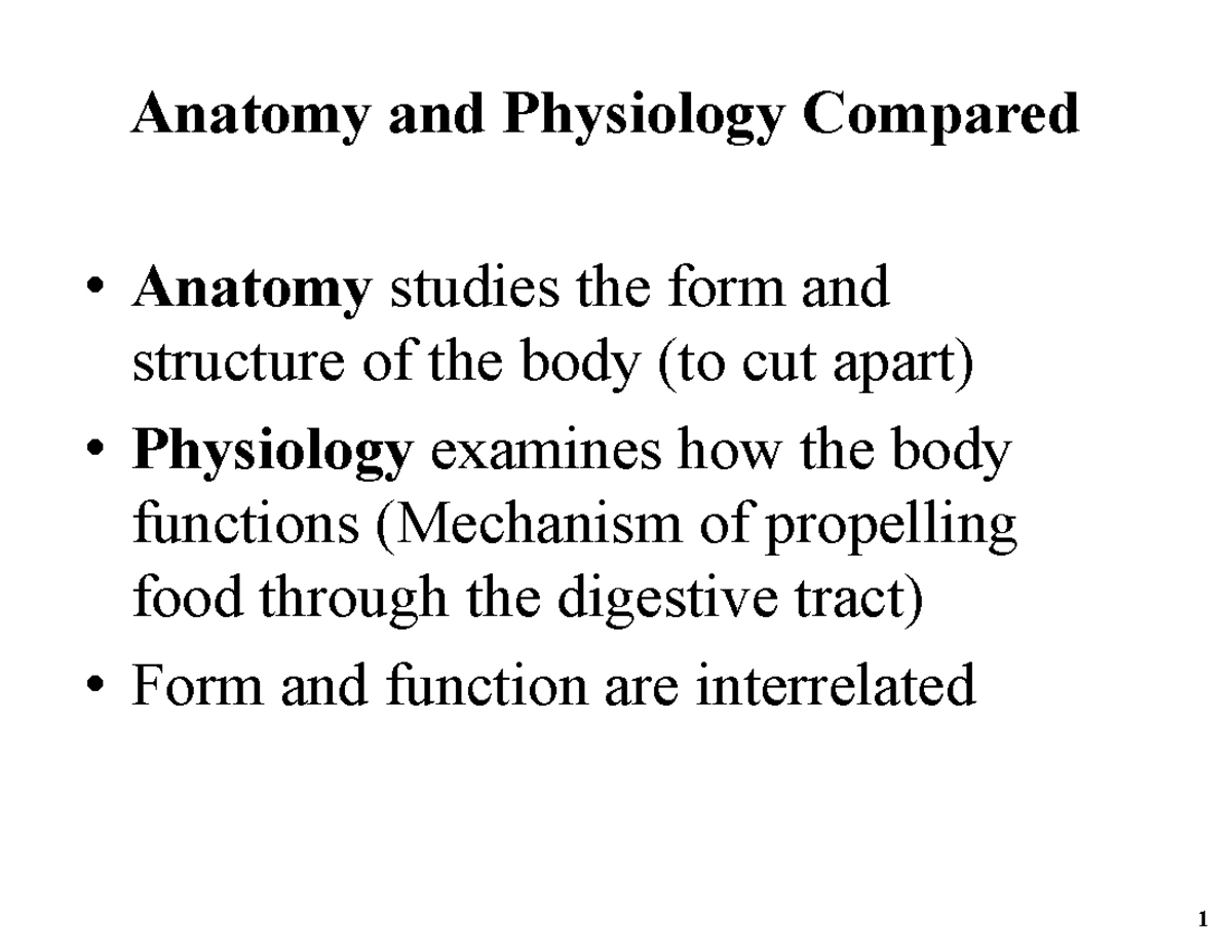 Anatomy & Physiology 101: Structure, Function, and Organization - Studocu