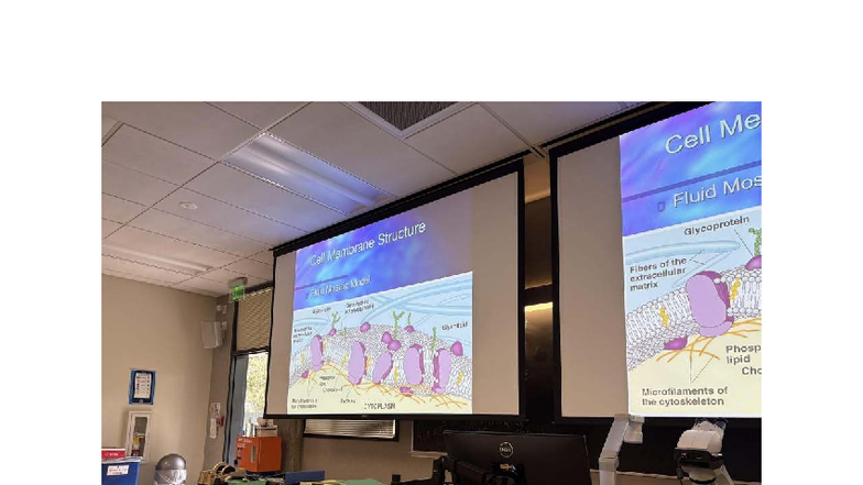 Human Biology Notes - Cell cycles, so metaphase, prophase, anaphase ...