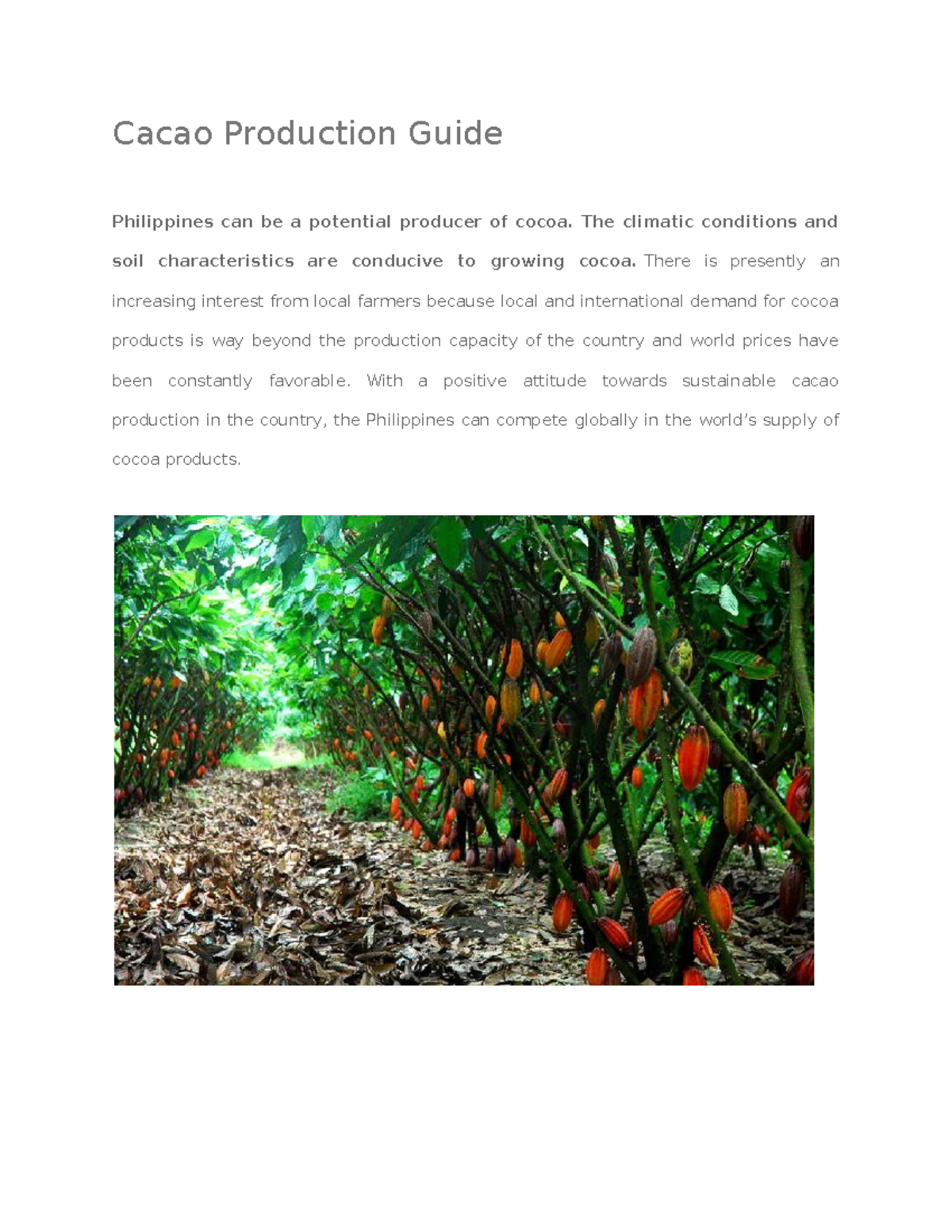 Cacao Production Guide for Sustainable Farming in the Philippines - Studocu