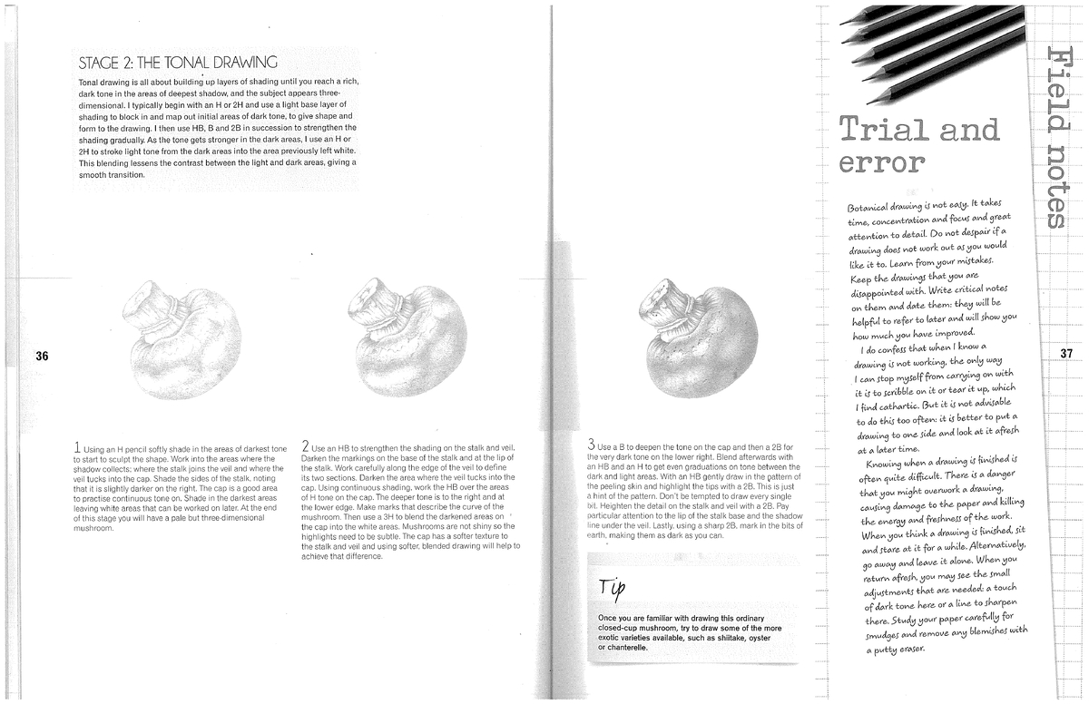 Drawing a Mushroom Exercise: Techniques for Tonal Shading and Detail ...