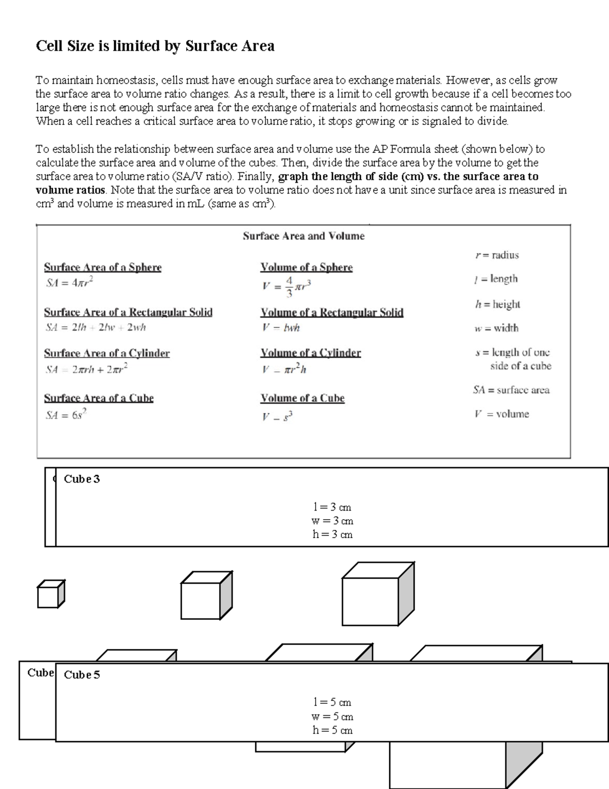 Surface Area to Volume Ratio in Cells: AP Biology Insights - Studocu