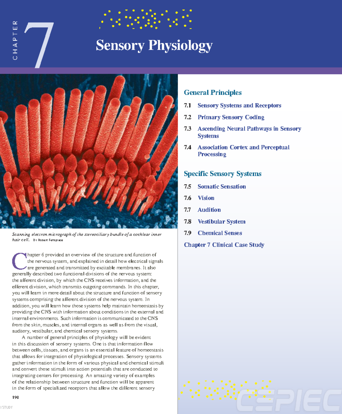 CHAPTER 7: Sensory Physiology - General Principles and Specific Systems ...