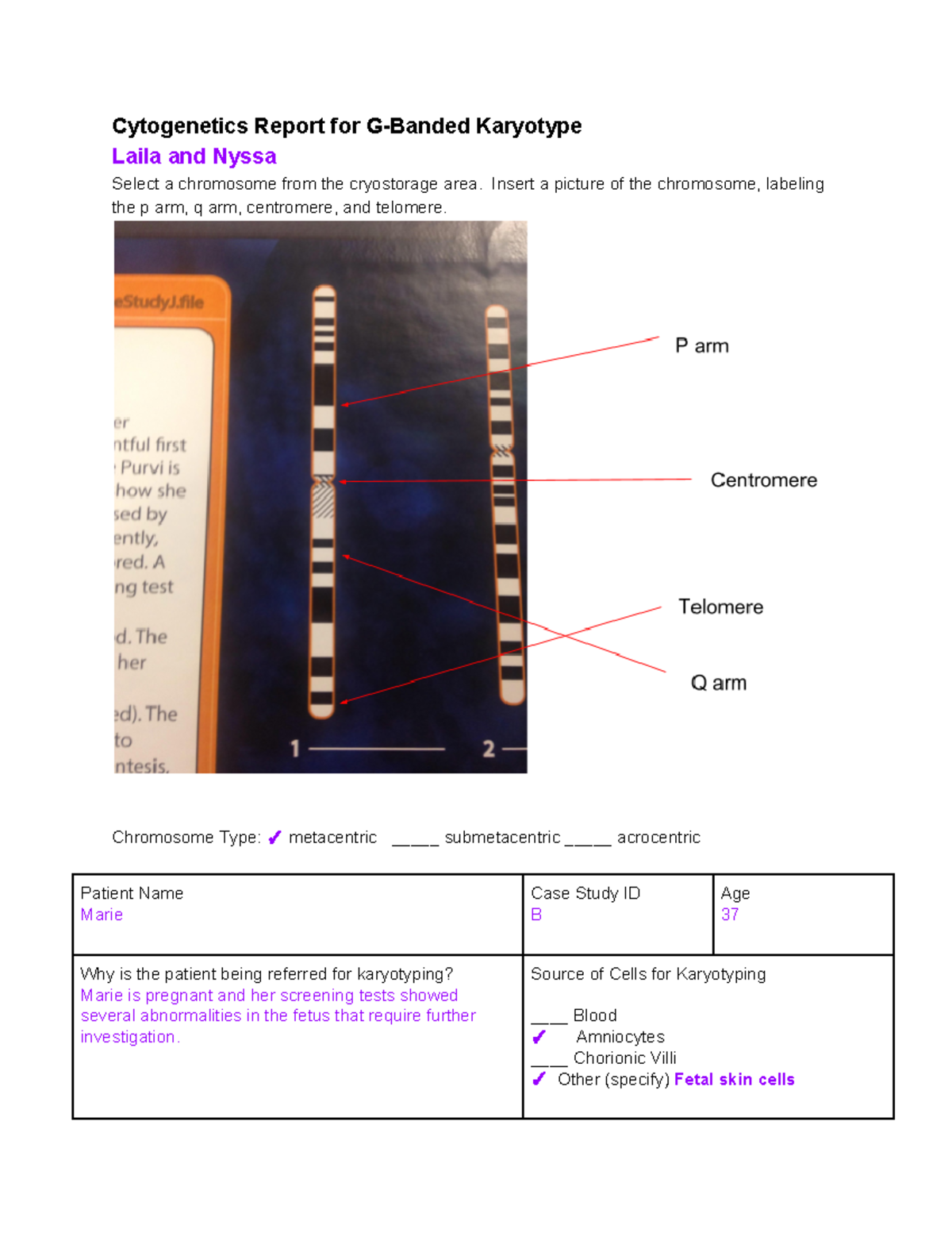 375825819 Cytogenetics Case Study: G-Banded Karyotype Analysis - Studocu