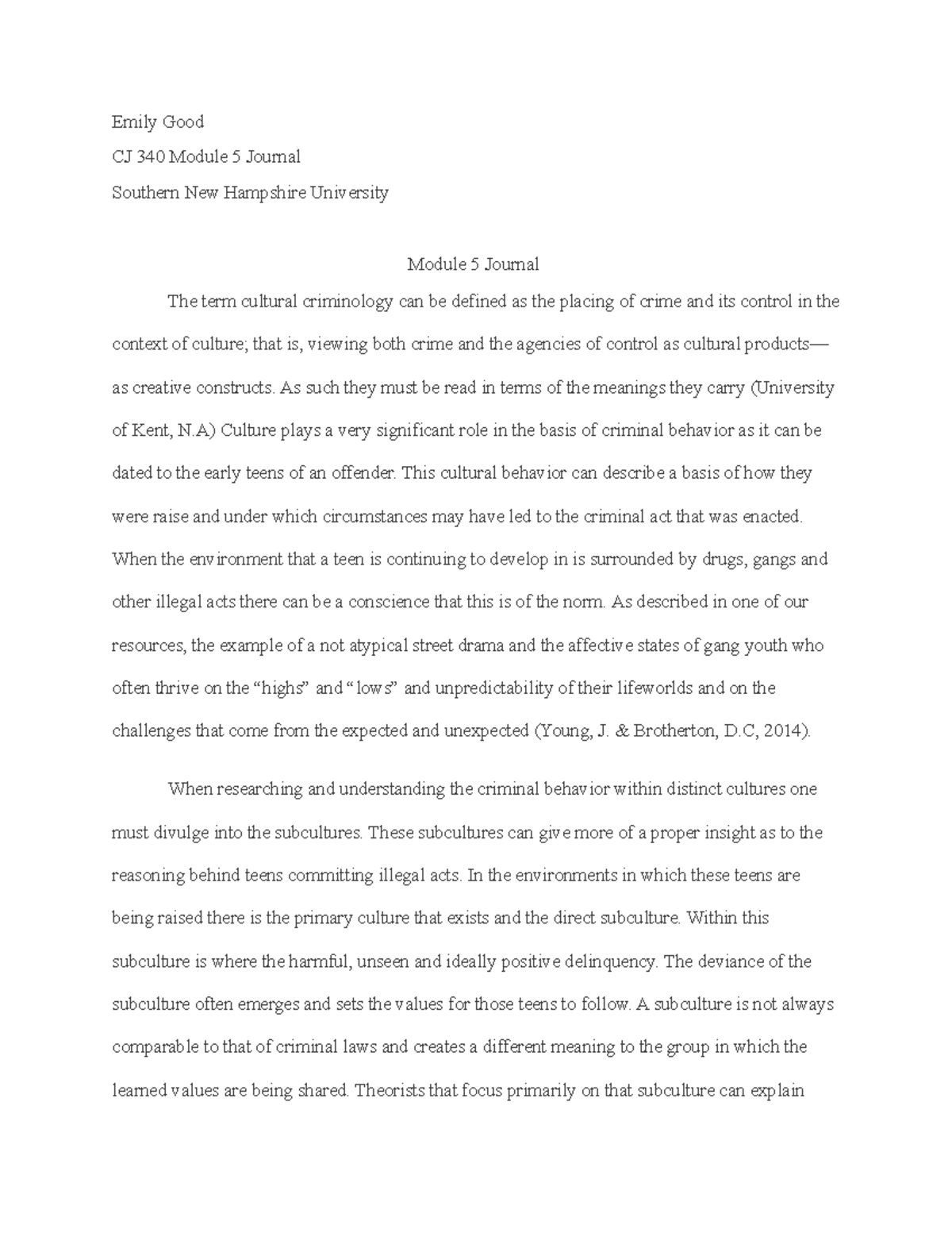 CJ 340 Module 5 Journal: Exploring Cultural Criminology and Youth ...