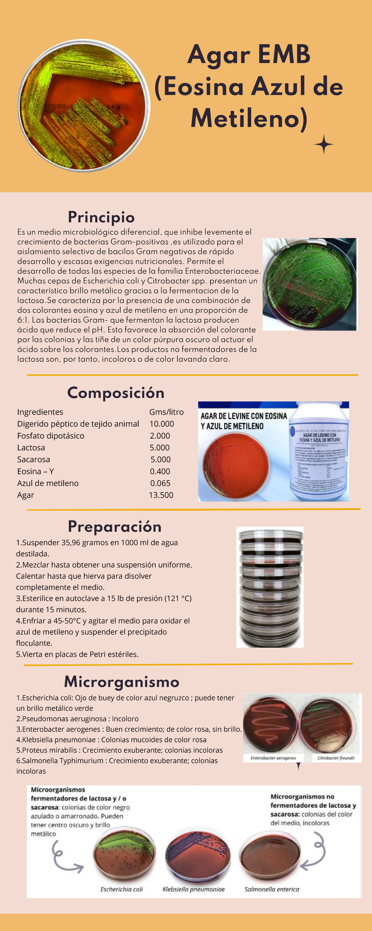 Infografía sobre el Agar EMB: Características y Preparación - Studocu