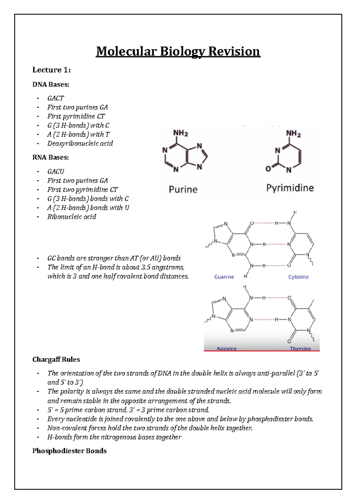 Botany Med Easy by Vipin Sir - Biology Class 12 - BOTANY MED EASY BY DR ...