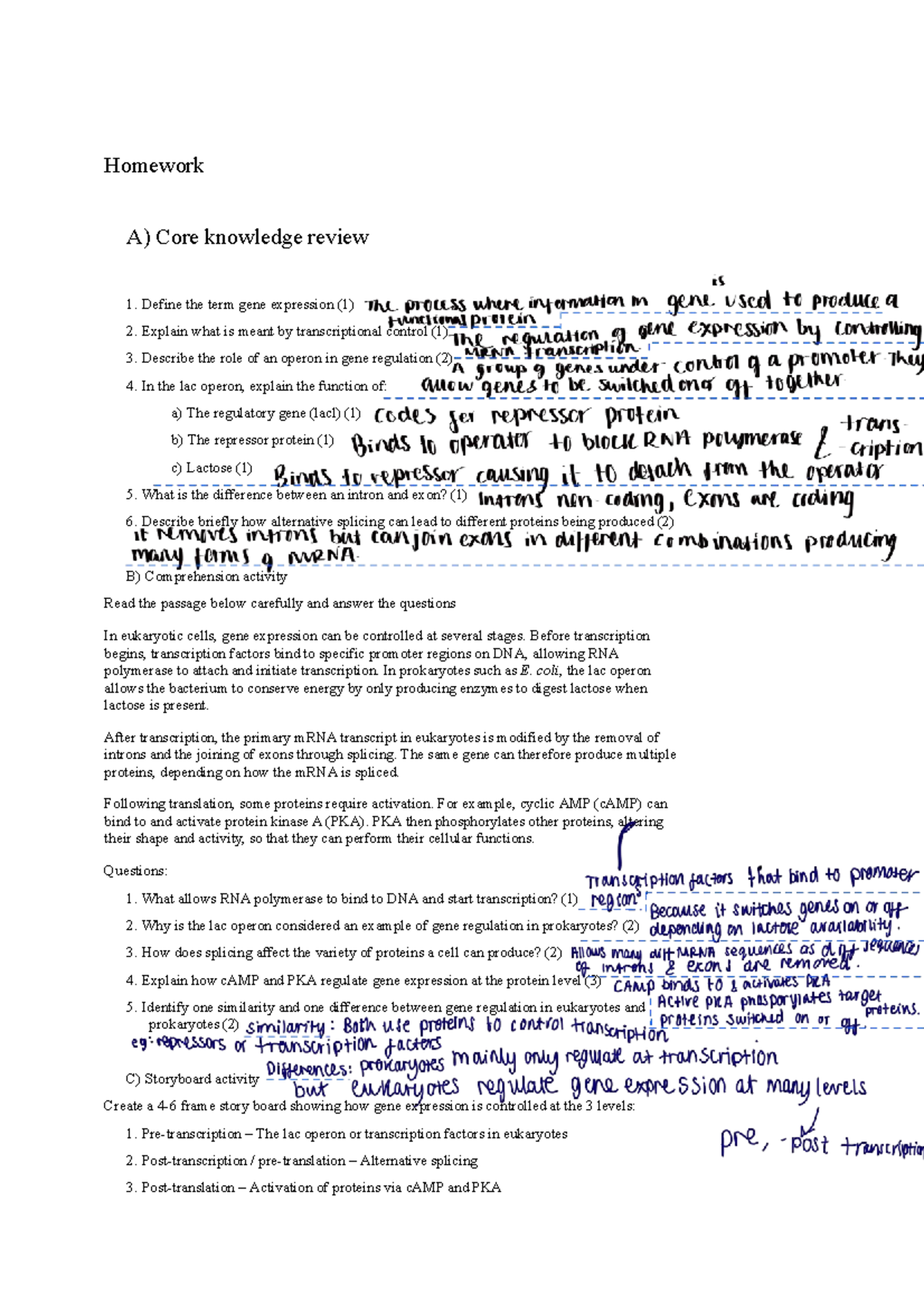 Homework A) Gene Expression Review and Comprehension Activities - Studocu