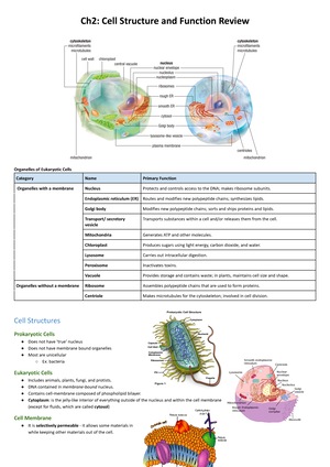 AP Bio Unit 4 - Full notes covering AP Bio Unit 4 - Unit 4: Cell ...