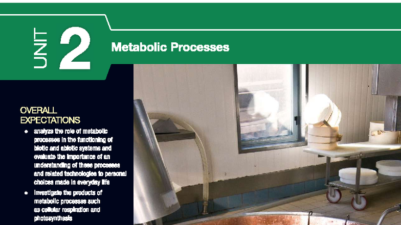 Nelson Biology 12: Metabolism and Energy Processes Study Guide - Studocu