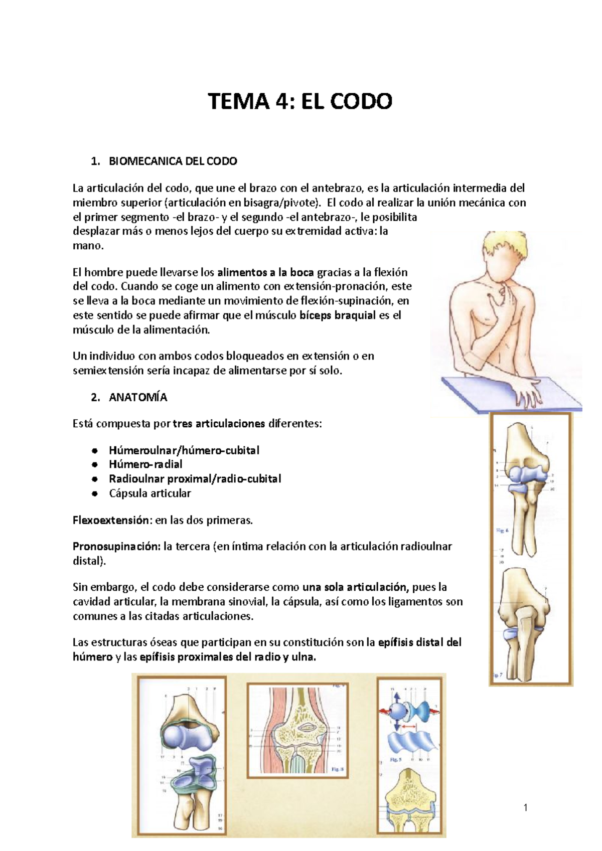 Biomecanica Del Miembro Superior Biomecanica Del Codo Biomecánica De