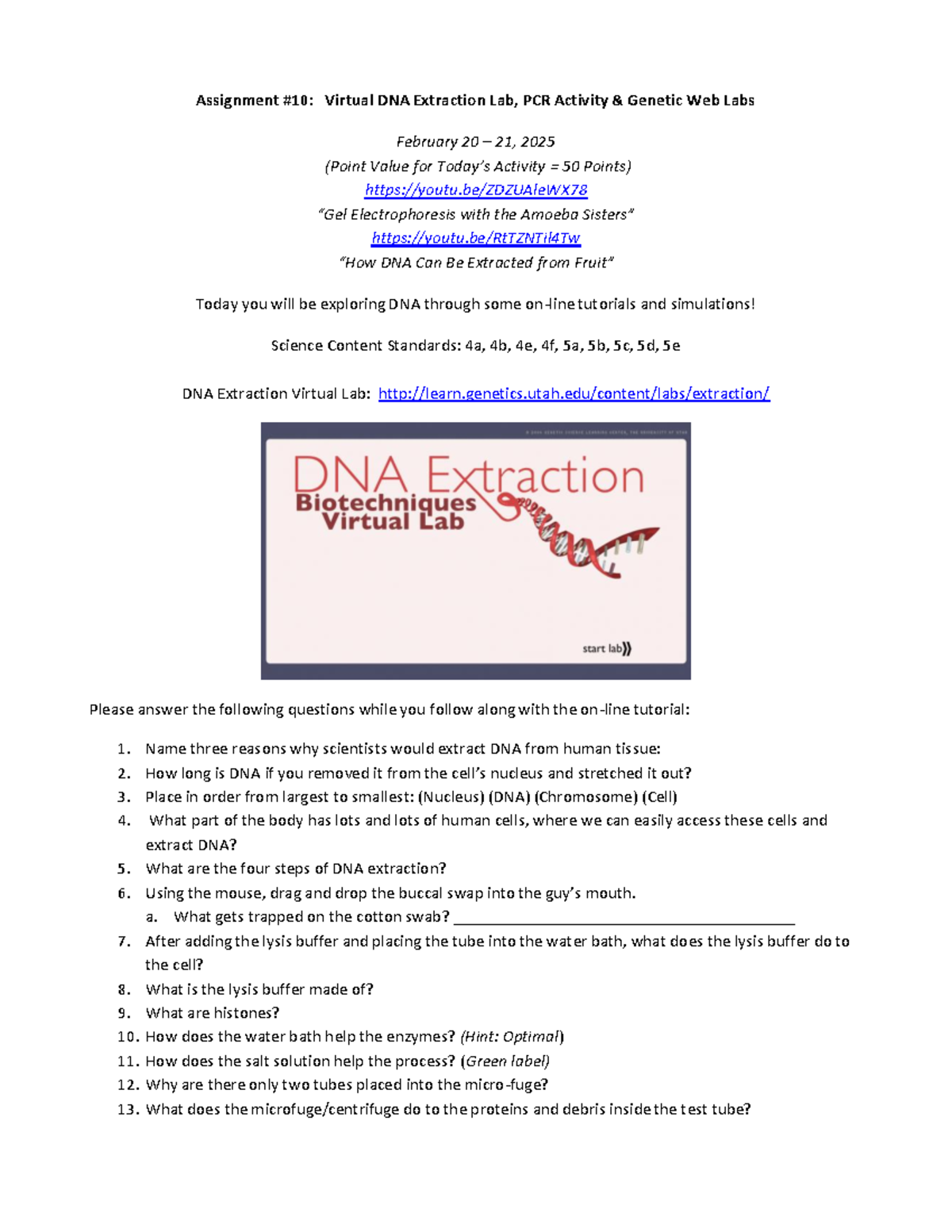 DNA Extraction & PCR Virtual Lab Assignment #10 - Spring 2025 - Studocu
