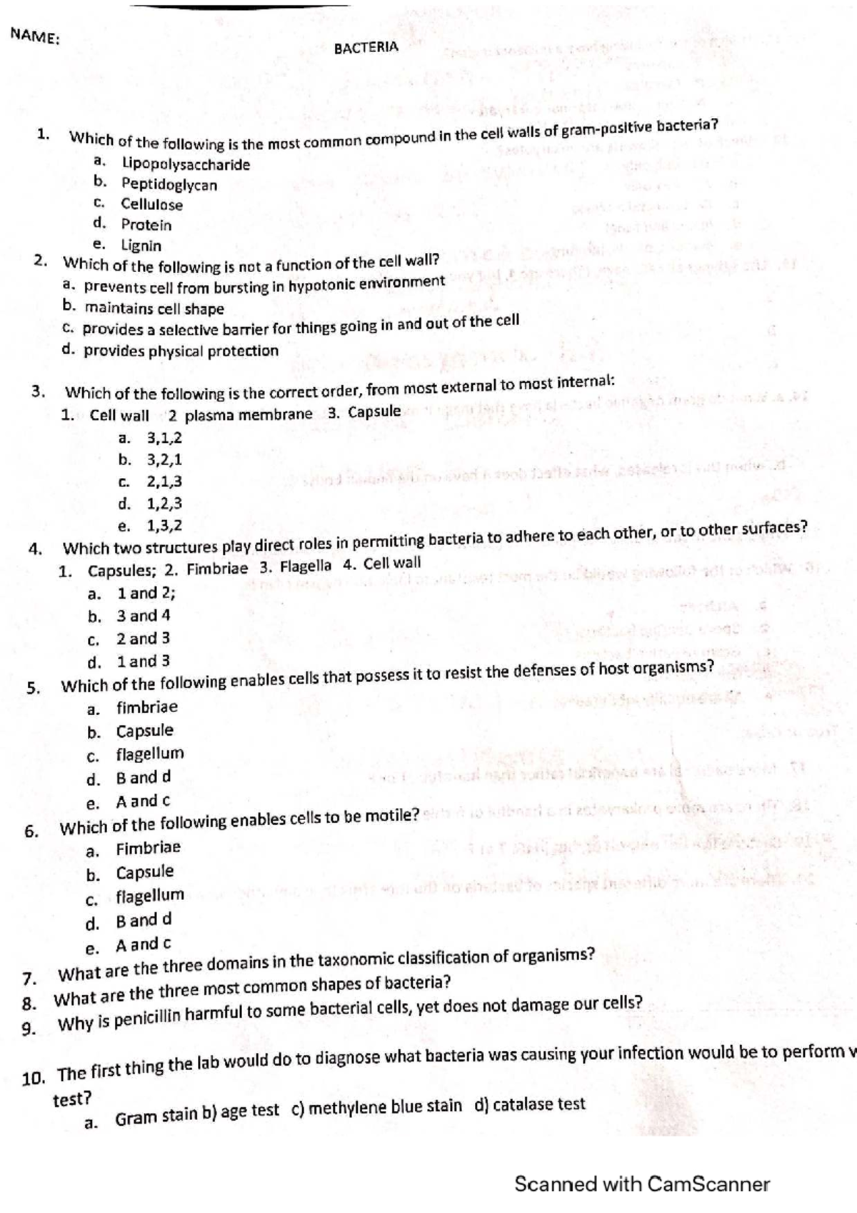Bacterial Cell Structure and Function Quiz - Studocu