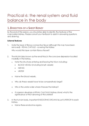 QAdds Chart - NUR1100 - Studocu