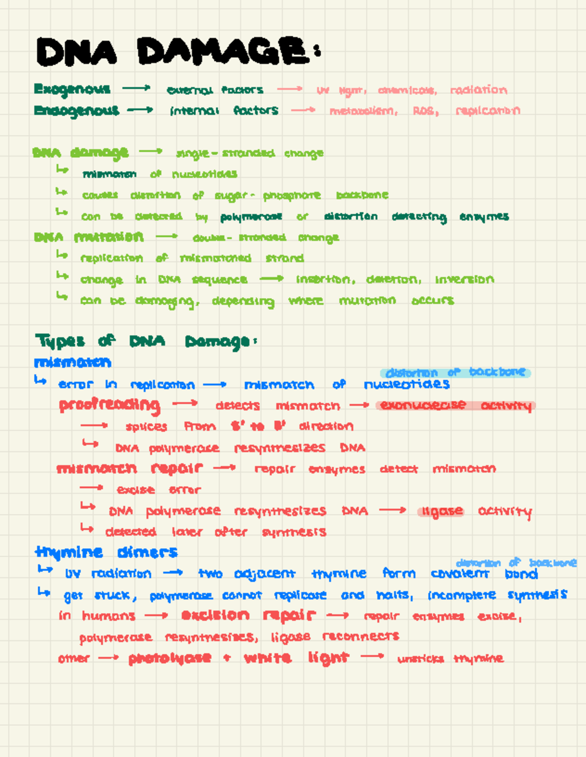 DNA Mutations and Repair: Exogenous and Endogenous Causes - Studocu