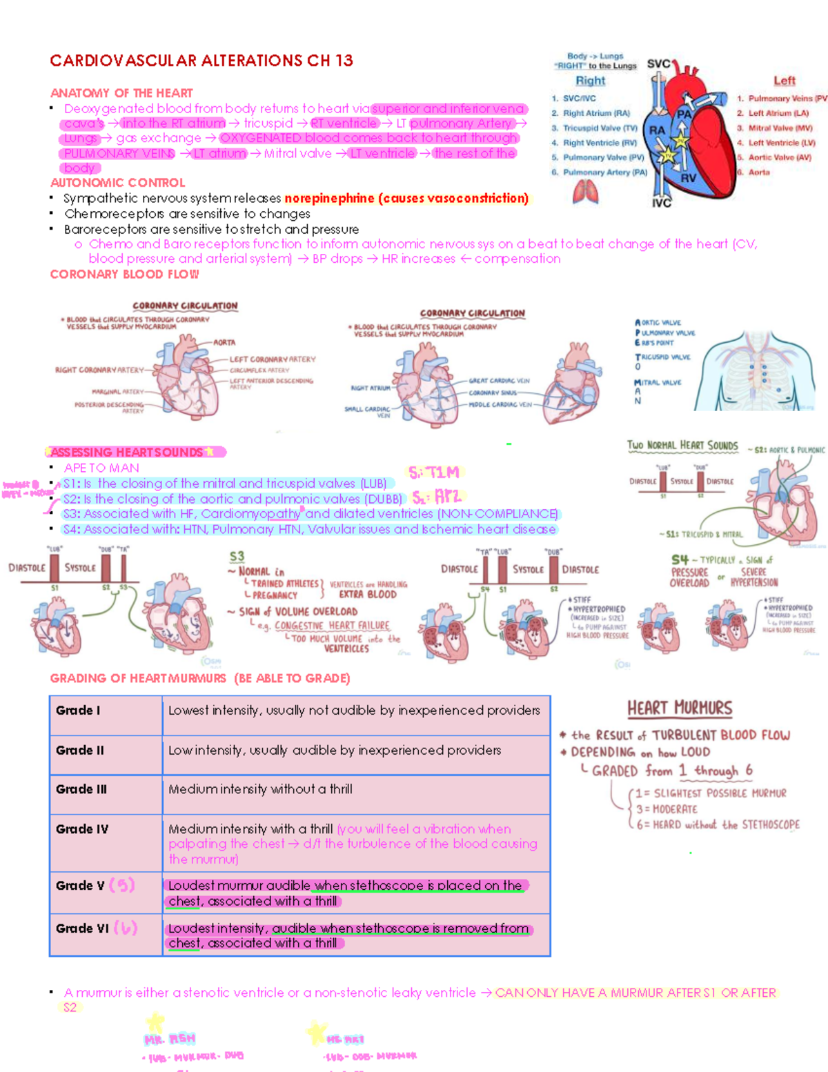 Cardiovascular Alterations: Anatomy & Pathophysiology (CH 13) - Studocu