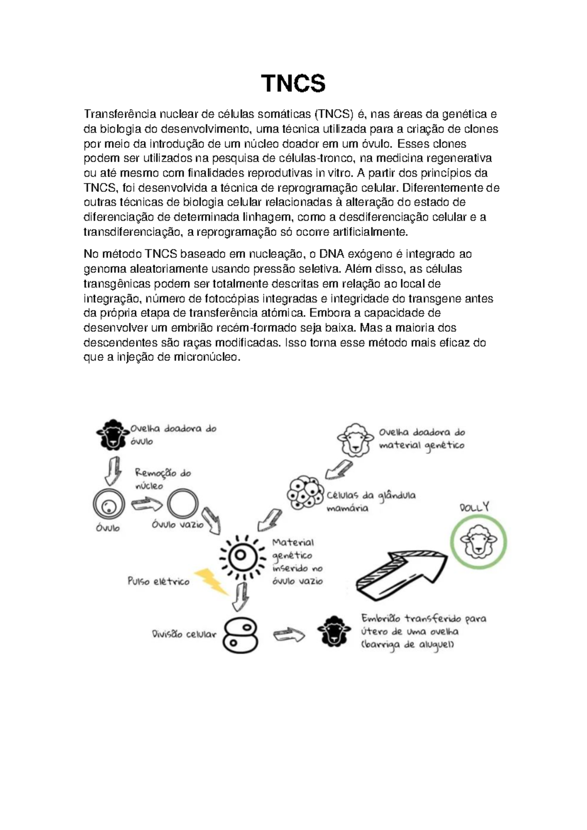 TNCS - Resumo sobre Transferência Nuclear de Células Somáticas - Studocu