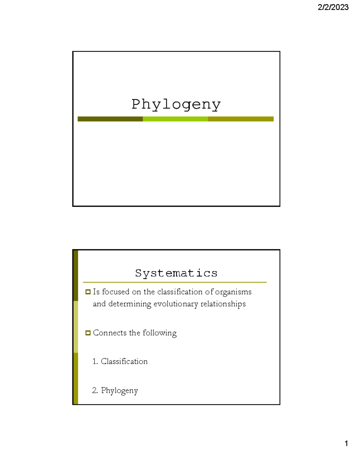 Phylogeny & Systematics: Understanding Evolutionary Relationships - Studocu