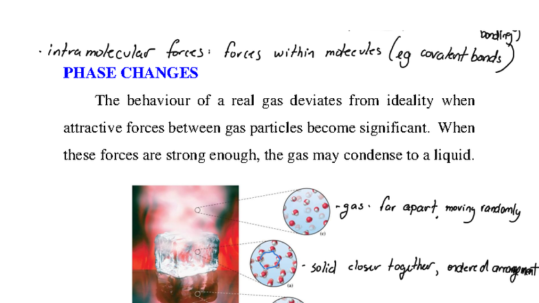 PHYS 101: Phase Changes and Equilibrium in Gases and Liquids - Studocu
