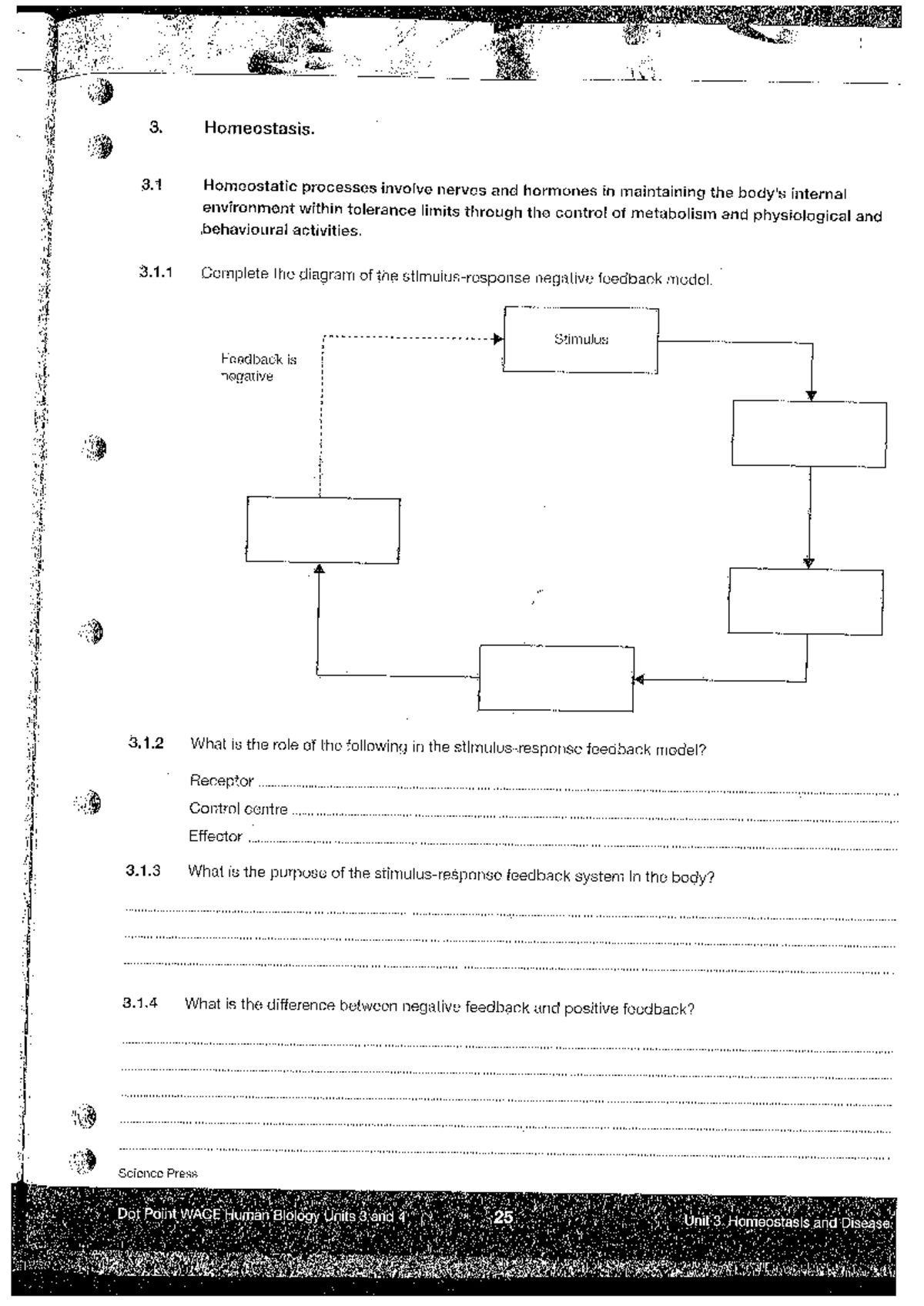 Homeostasis Practice Questions - WACE Human Biology Units 3 and 4 - Studocu
