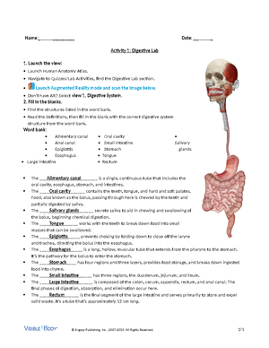 [Solved] Unit 2 Medical Terminology Respiratory System Within the textbox - anatomy and ...