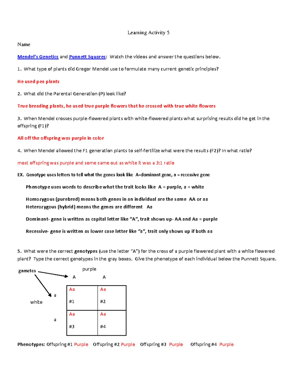 Mendel's Genetics and Punnett Squares: Learning Activity 5 Insights ...