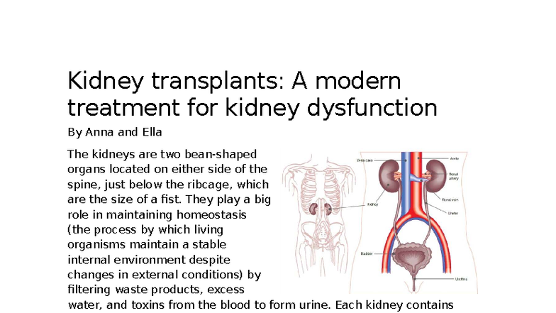 Kidney Transplants: Modern Solutions for Kidney Dysfunction (Year 11 ...