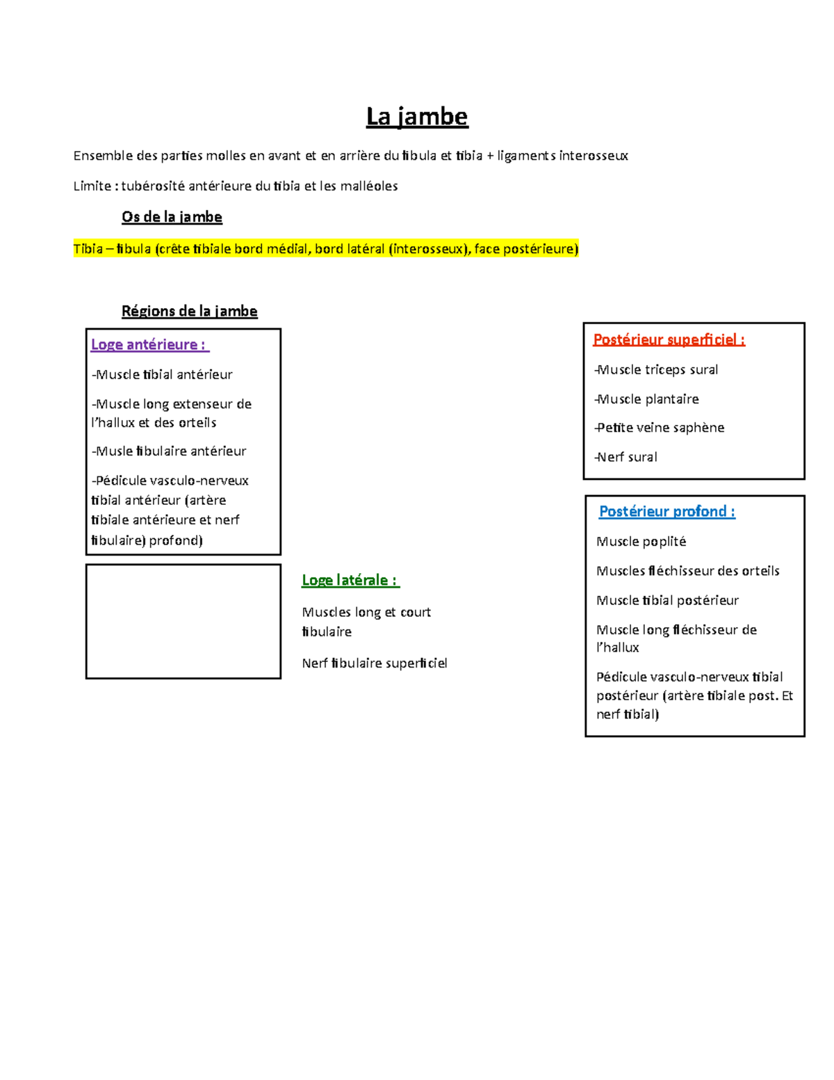 Résumé jambe - La jambe Ensemble des parties molles en avant et en ...