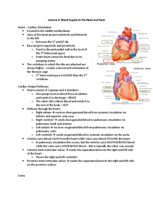 Chapter 3 workbook Cells and Tissues - The basic unit of structure and ...