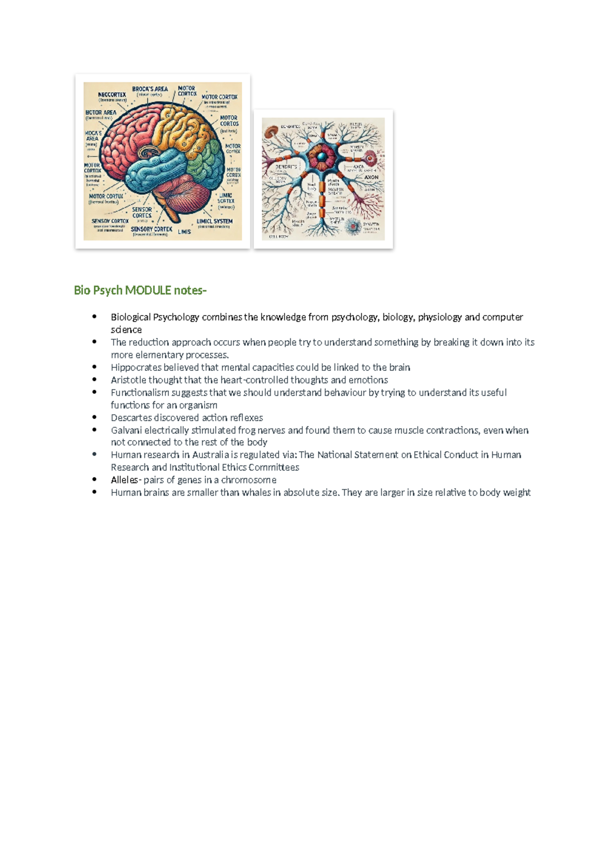 Bio Psych w1 Module notes - Bio Psych MODULE notes- Biological ...