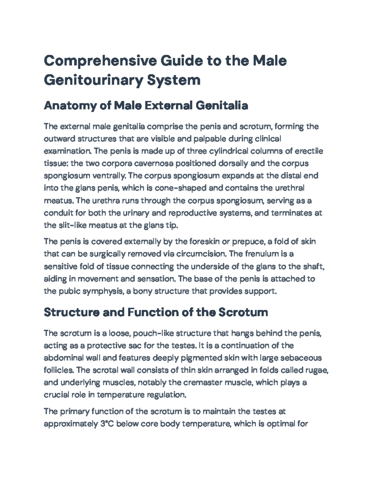 Comprehensive Guide to Male Genitourinary System Anatomy and Function ...