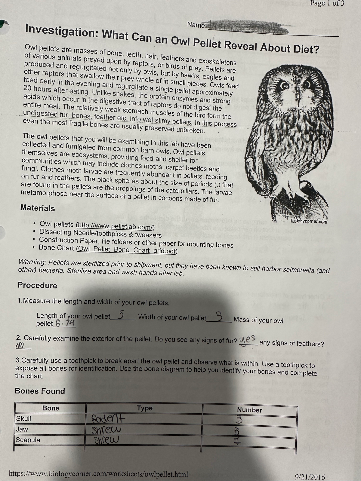 Kami Export - IMG 9805 - owel pellet lab - Page 1 of 3 Name: Owl ...