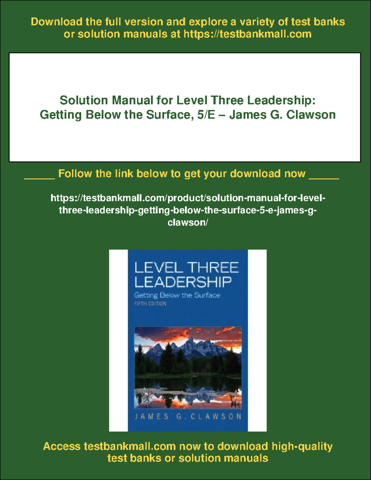 Solution Manual for Level Three Leadership: Getting Below the Surface ...