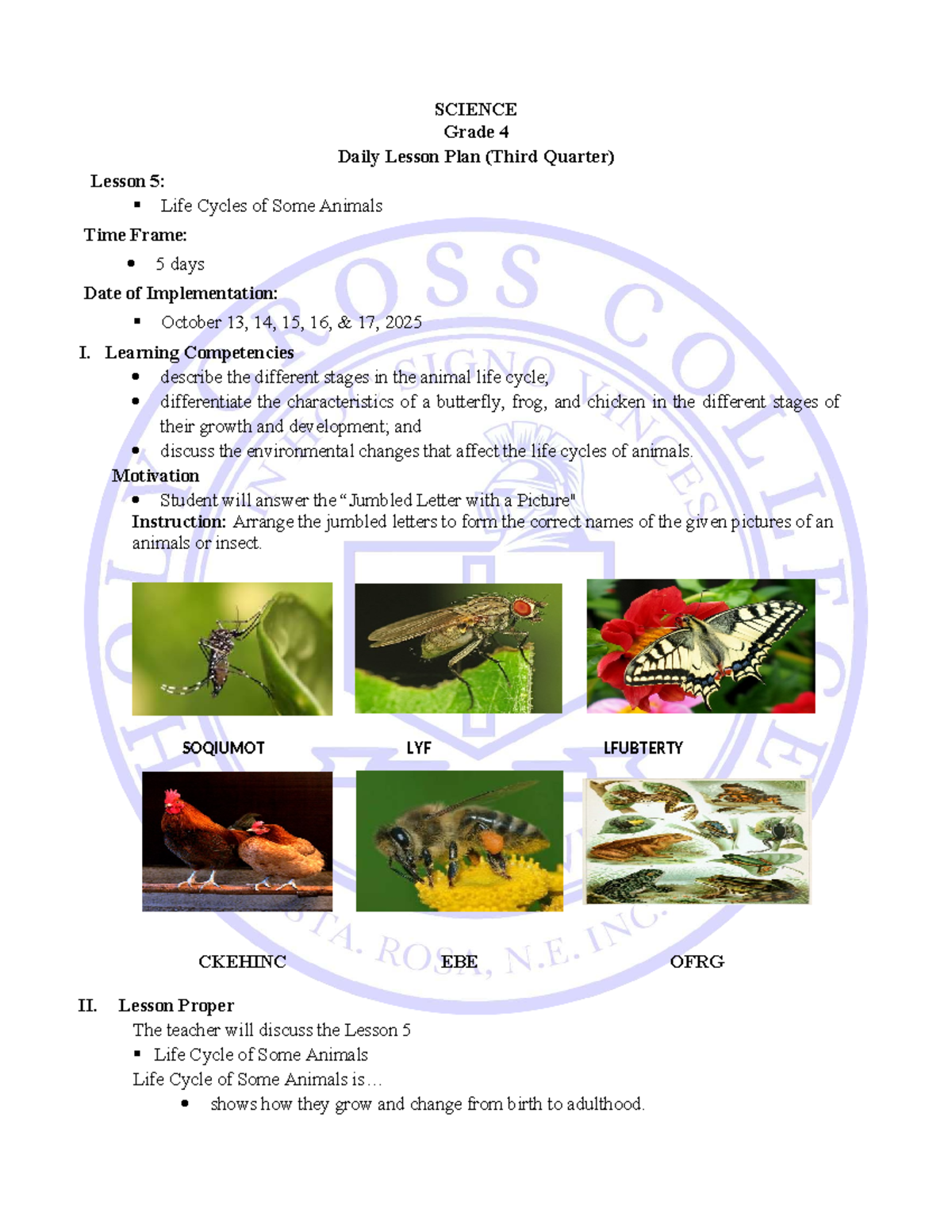 SCIENCE Grade 4 Daily Lesson Plan: Life Cycles of Animals (Lesson 5 ...