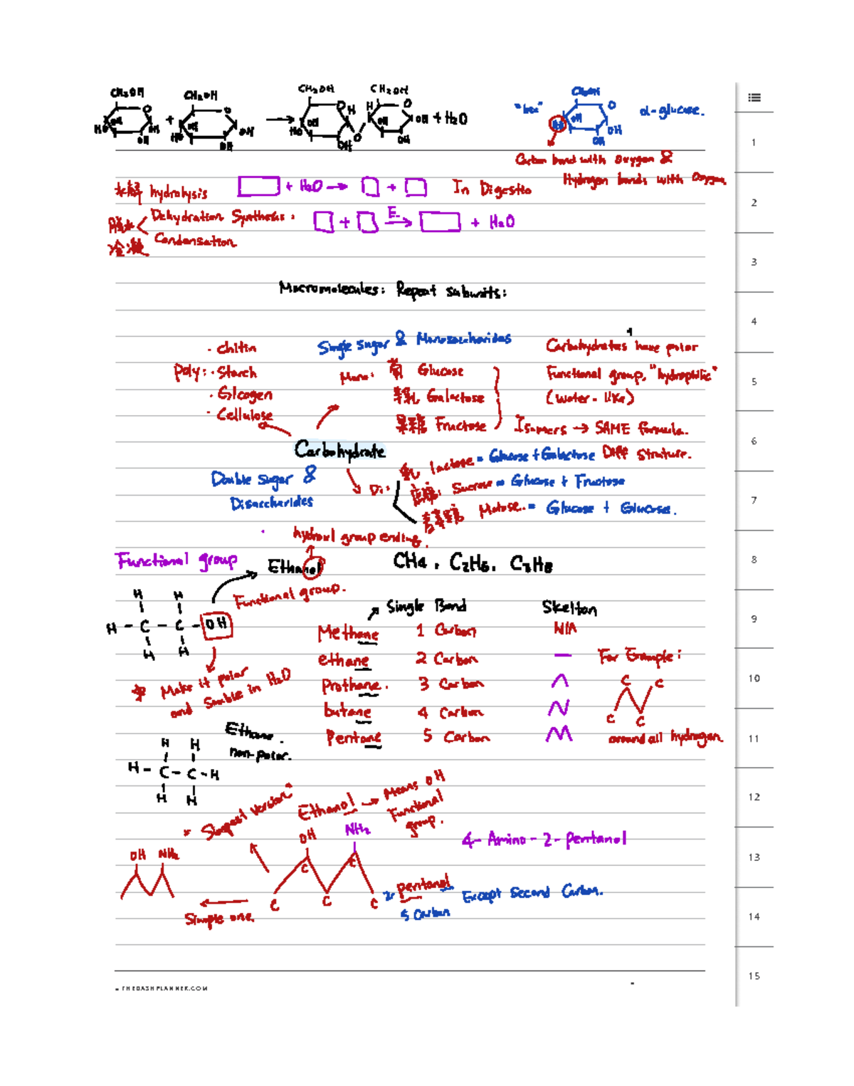 Unit 1 Biochemistry Notes: Hydrogen Bonds, Reactions, and ...