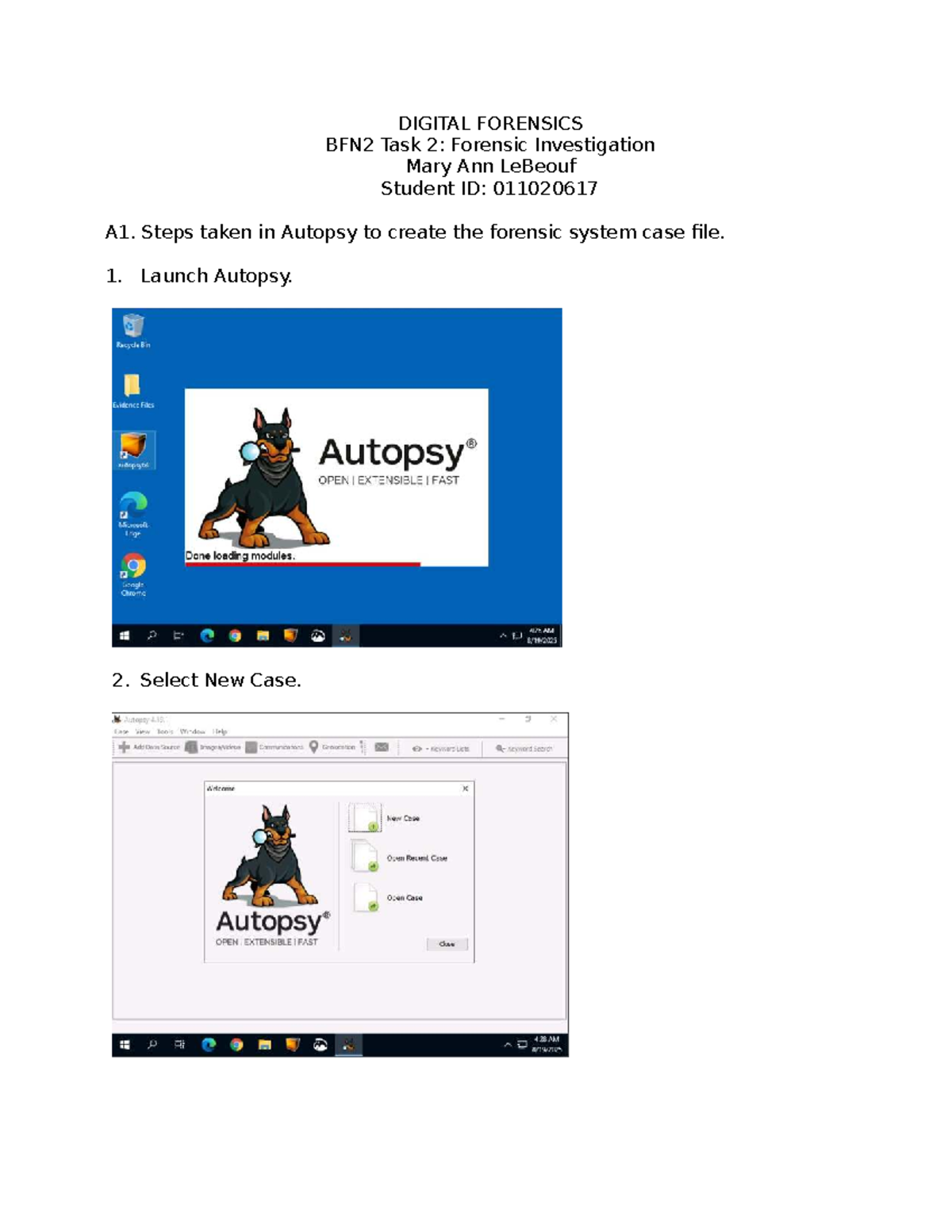 BFN2 Task 2: Forensic Investigation Using Autopsy by Mary Ann LeBeouf ...