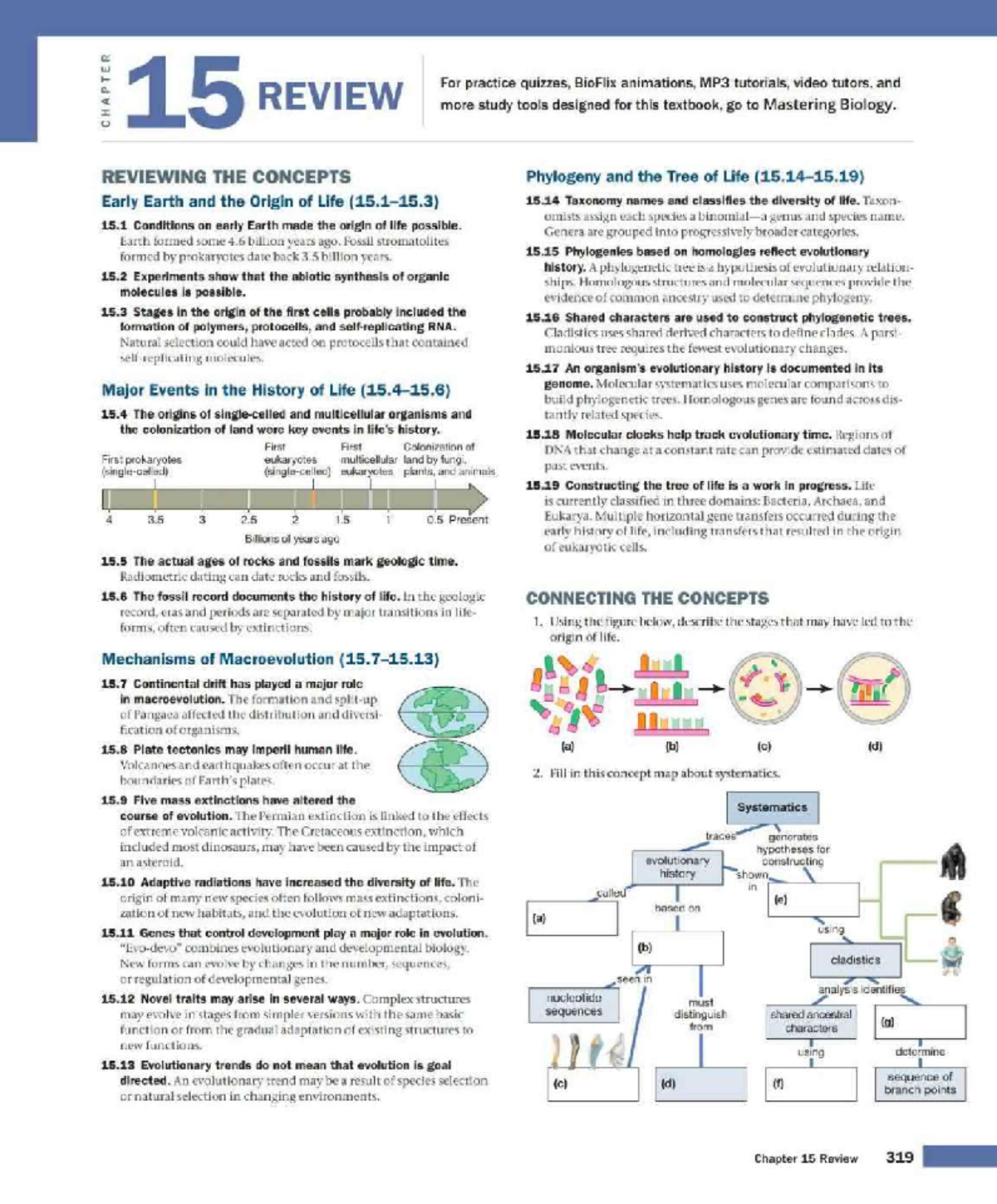Alternation of Generations and Plant Life Cycles - Biology 101 Notes ...