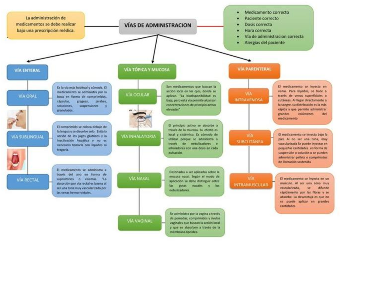 Vías de Administración y Dosis Correcta de Medicamentos - Doc1 - Studocu