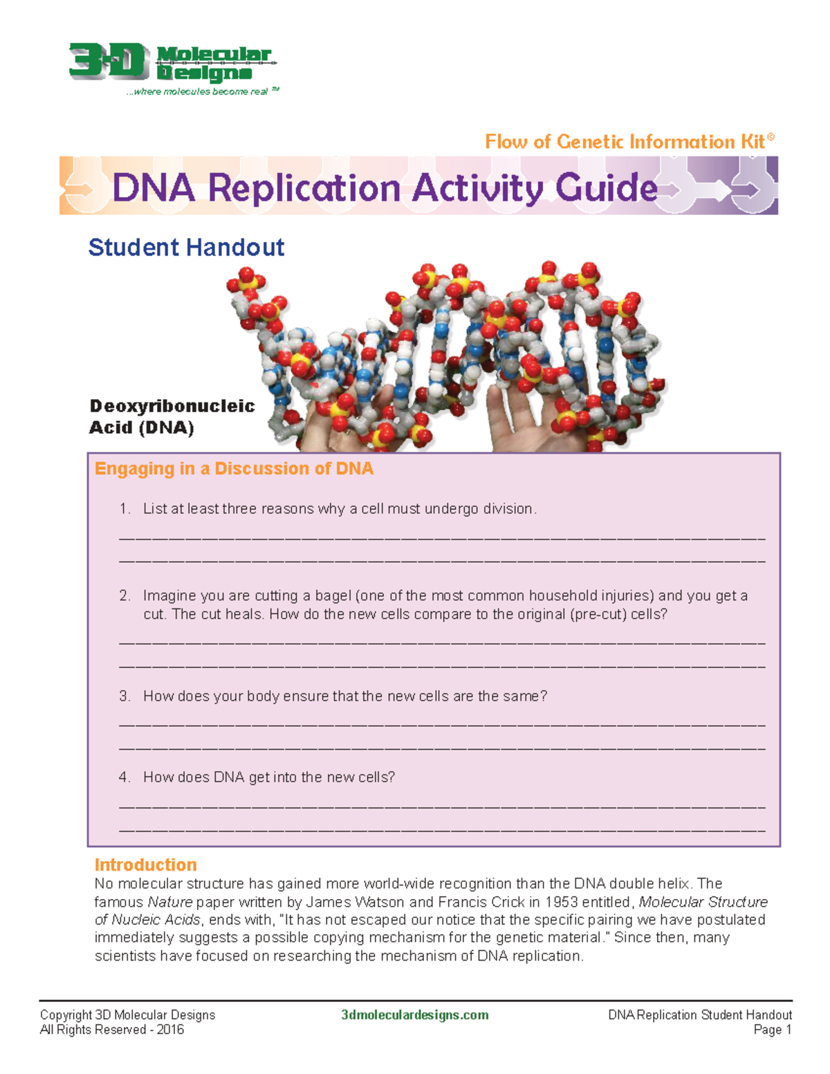 DNA Replication Activity Guide: Understanding Semiconservative ...