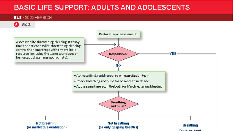 BLS 2020: Basic Life Support for Adults and Adolescents - Studocu